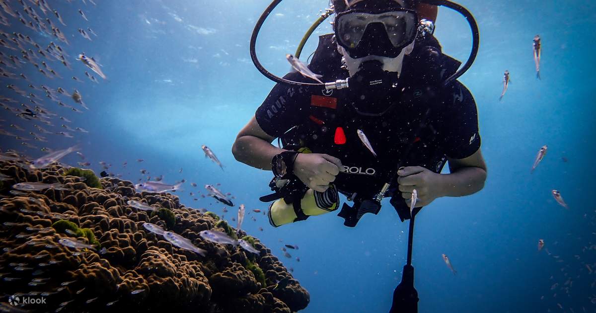 與 Padi 一起體驗海底世界 在我們的 Padi 5 星級潛水中心探索普吉島的水肺潛水 Klook香港